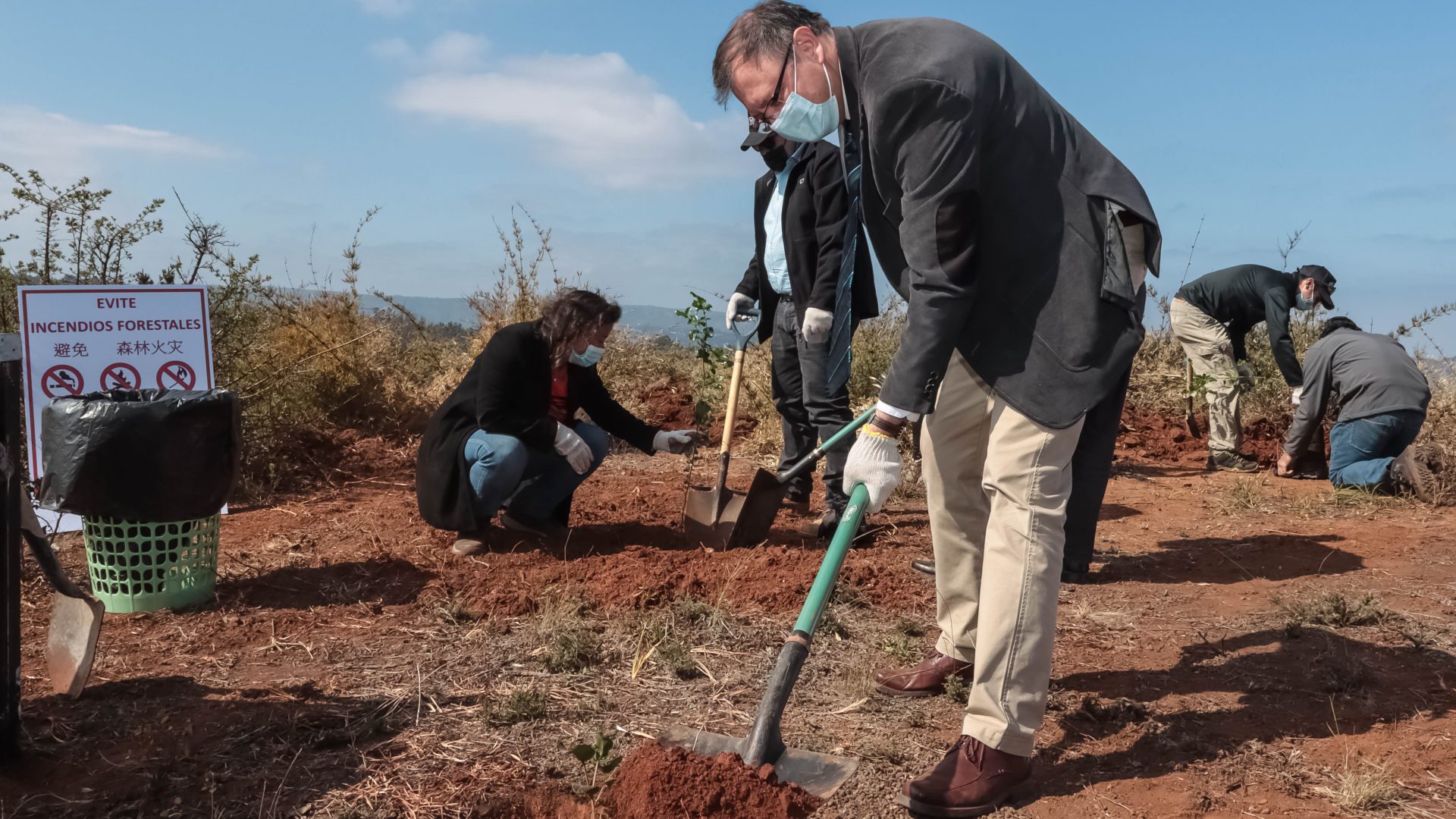 Inician reforestación del Parque Quebrada Verde en Valparaíso ...