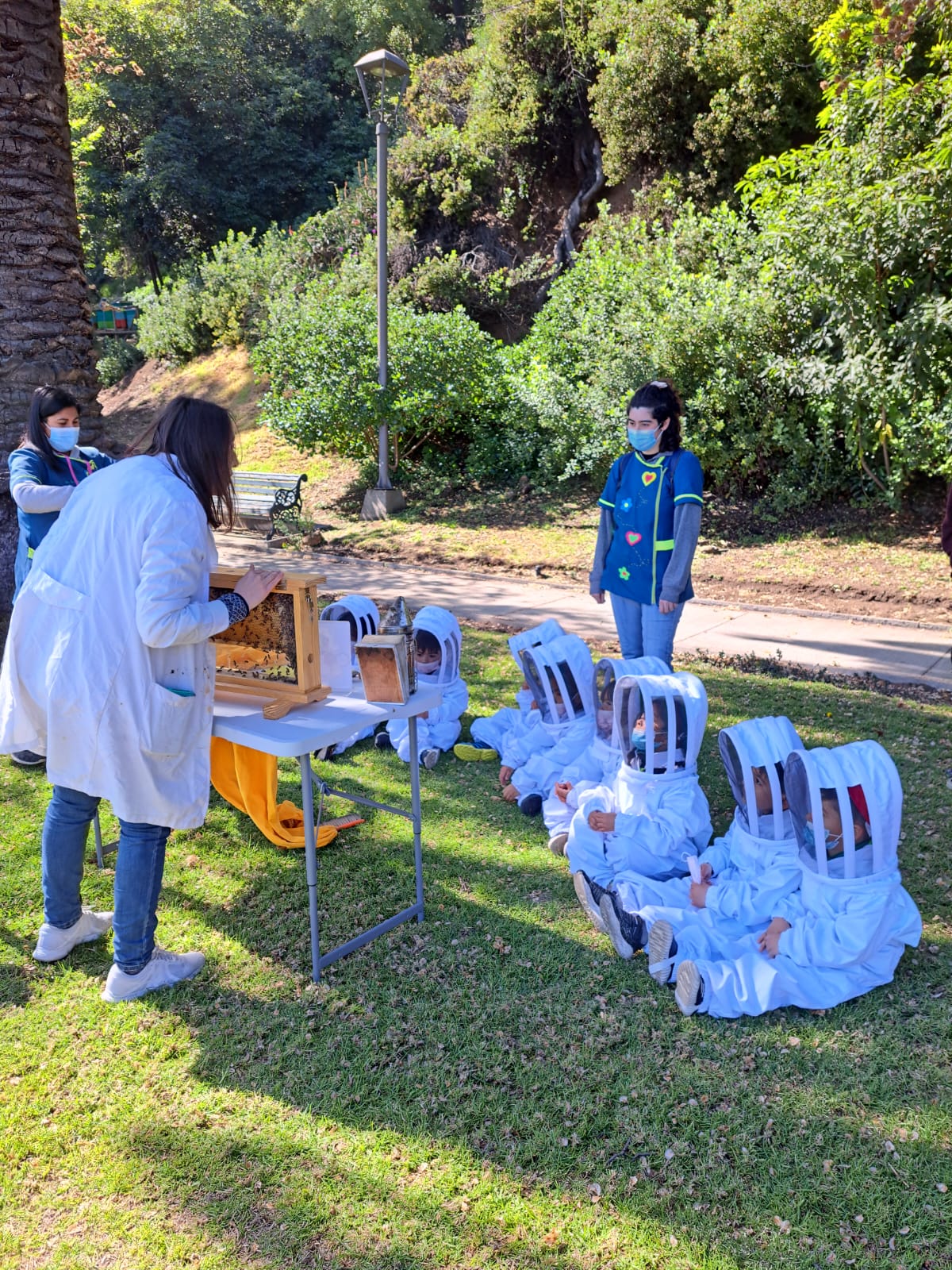 Entusiastas escolares visitaron apiario de proyecto USM Bee Lab ...