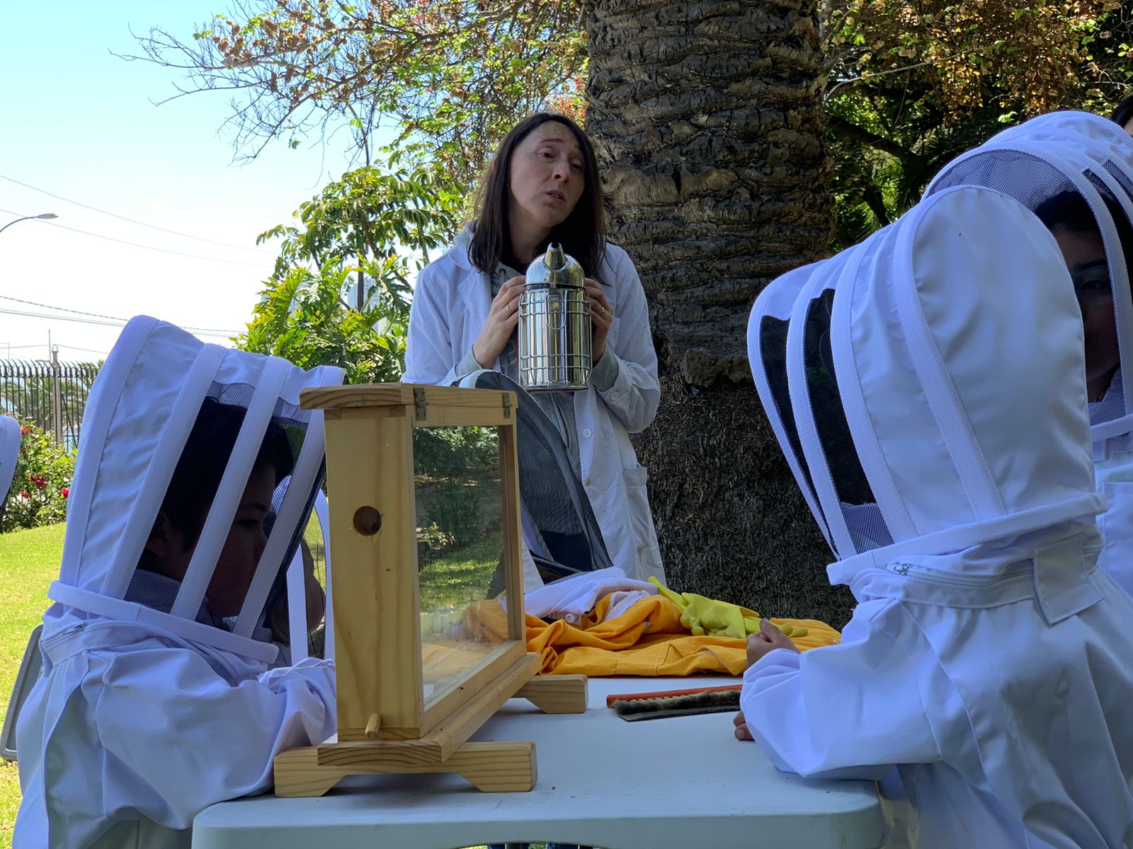 Entusiastas escolares visitaron apiario de proyecto USM Bee Lab ...